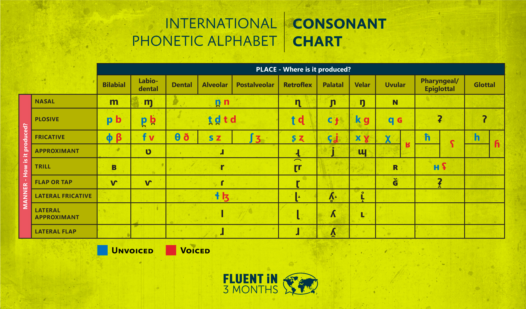 Ipa Phonetic Alphabet Chart Konsonan Sexiezpix Porn Ipa Phonetic Alphabet Chart Konsonan Sexiezpix Porn