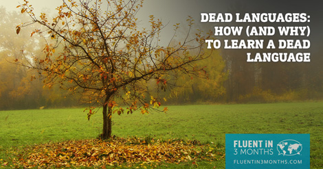 Dead Languages: How (and Why) to Learn a Dead Language
