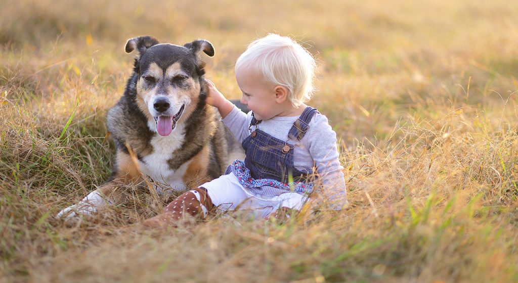 101+ German Animal Names (with English Translations)