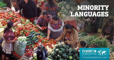 Minority Languages: The Bliss of Learning Languages Less Spoken