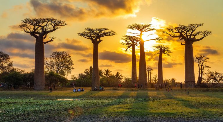 How to Learn Swahili: An In-Depth Guide