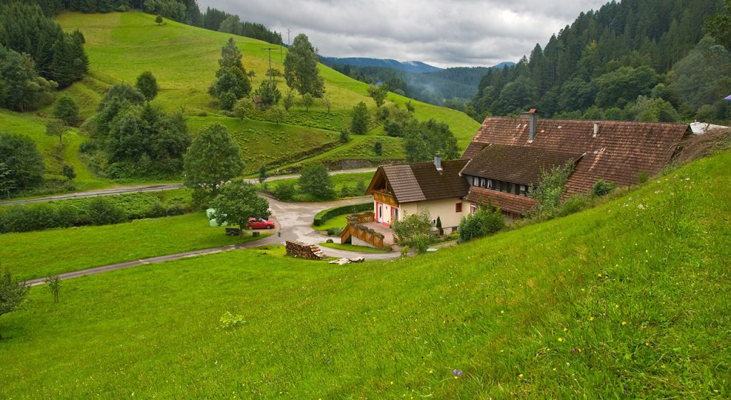 Teach Me German: A Step-by-Step Guide to Your First Month Learning ...