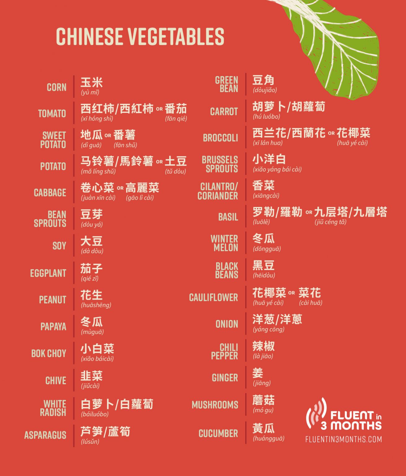 28 Vegetables and Their Translation in Mandarin Chinese (+ Recipe Ideas!)