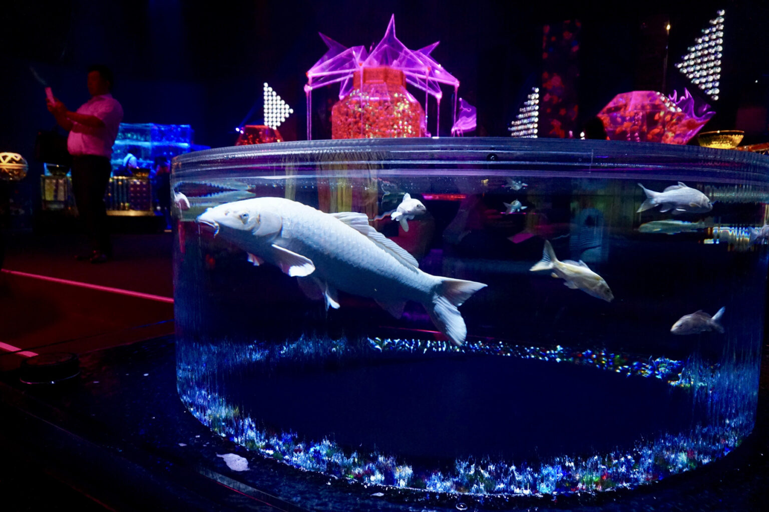 Good Luck in Japanese: How to Offer Encouragement with Cultural Nuance