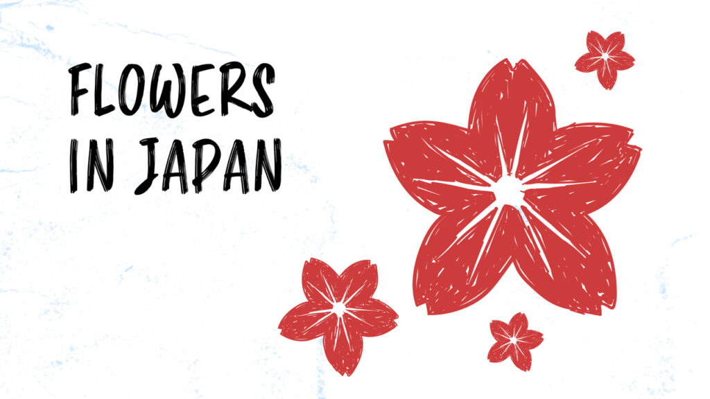21 Popular Flowers in Japan (and How to See Them!)