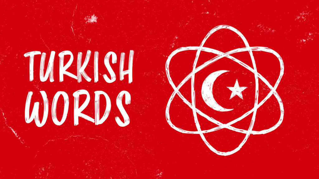 200+ Turkish Words for Everyday Conversations